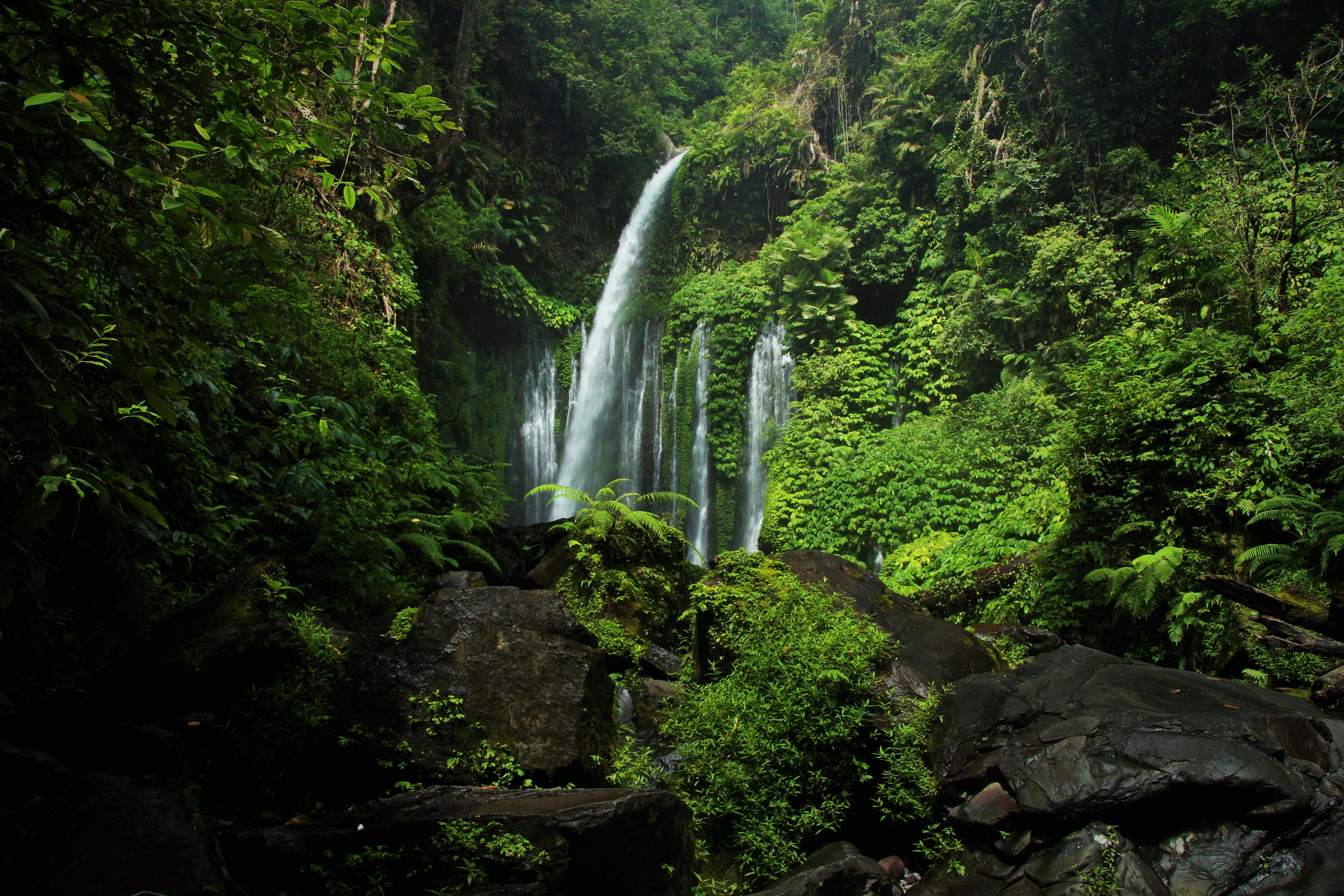Stunning Lombok Waterfalls to Visit – Lombok Dispatch